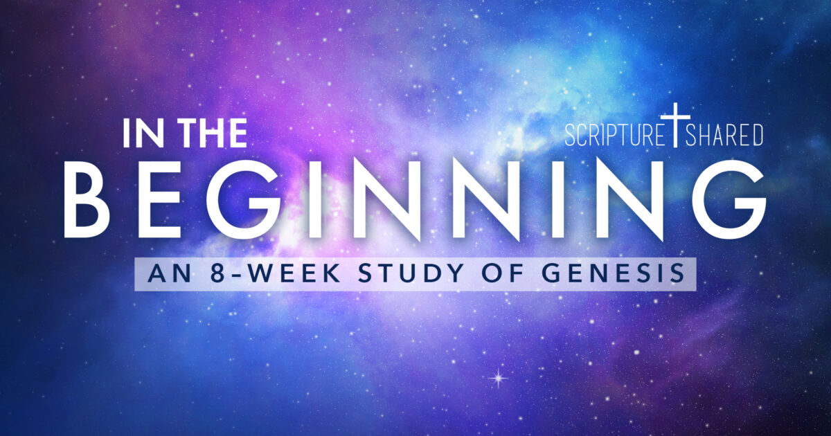 St. Luke's | In the Beginning - Week 8